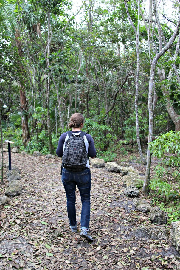 Tom Bihn Synapse 19 and Synapse 25 IN THE WILD! | Finding delight.