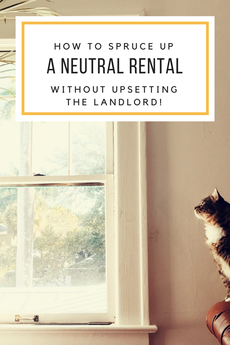How to Spruce Up Your Neutral Rental | Finding delight.